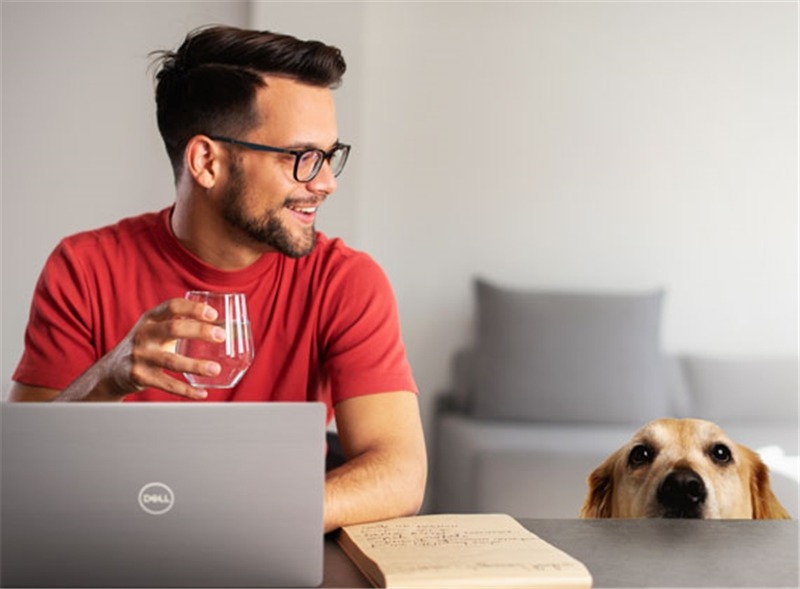 Dell Boxing Day Deals 2021 | Dell Canada