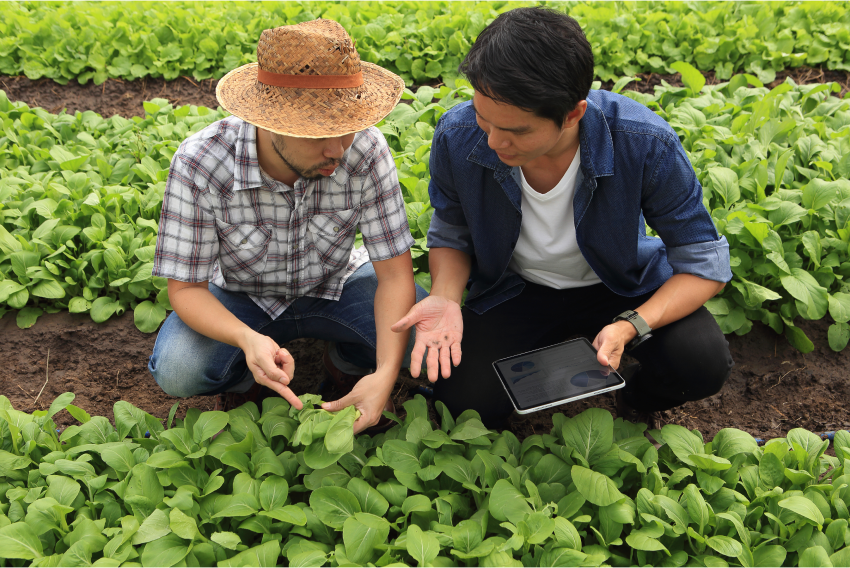 Quantum Computing Solutions | Dell USA