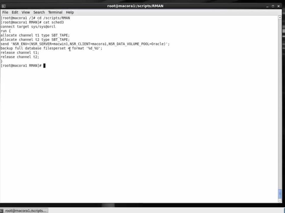 How to perform a manual Oracle Client initiated NMDA backup | Dell Serbia